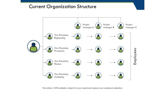 Current Organization Structure Ppt PowerPoint Presentation Show Vector Current Organization Structure Ppt PowerPoint Presentation Show Vector