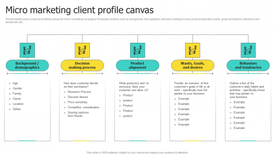 Audience Profile PowerPoint templates, Slides and Graphics