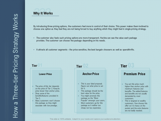 Determine Right Pricing Strategy New Product How A Three Tier Pricing ...