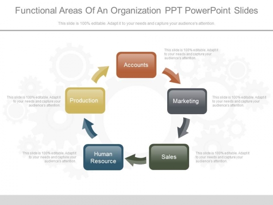 Functional Areas Of An Organization Ppt Powerpoint Slides - PowerPoint ... Functional Areas Of An Organization Ppt Powerpoint Slides - PowerPoint ...