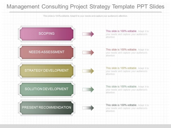 Management Consulting Project Strategy Template Ppt Slides PowerPoint 