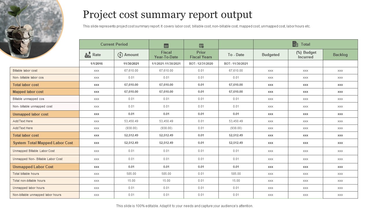 Project Cost Summary Report Output Demonstration Pdf Powerpoint Templates