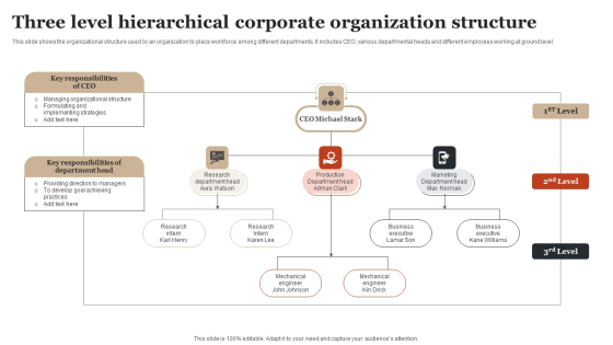 Three Level Hierarchical Corporate Organization Structure Pictures PDF ...